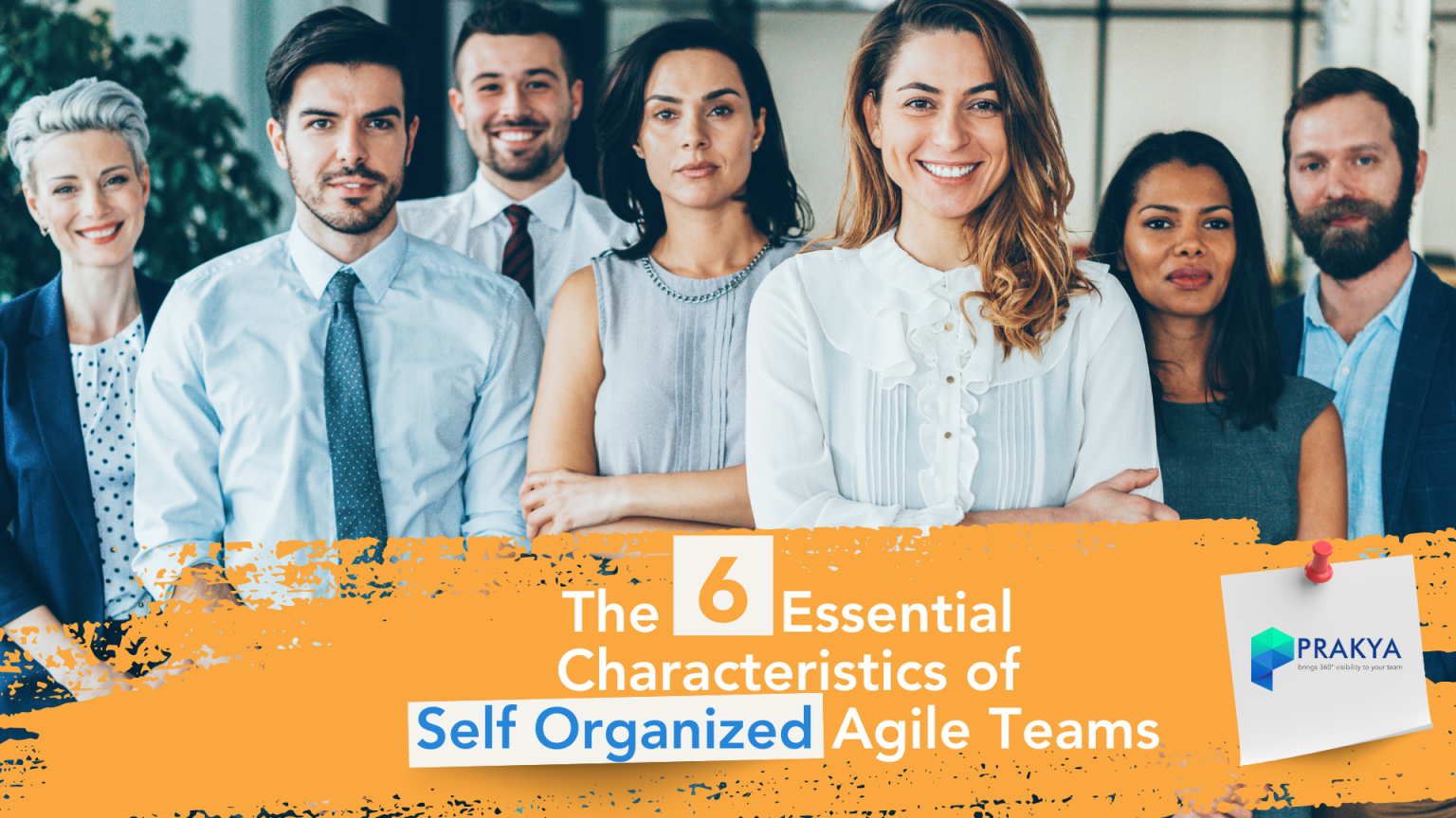 The Six Essential Characteristics of Self Organized Agile Teams – Prakya